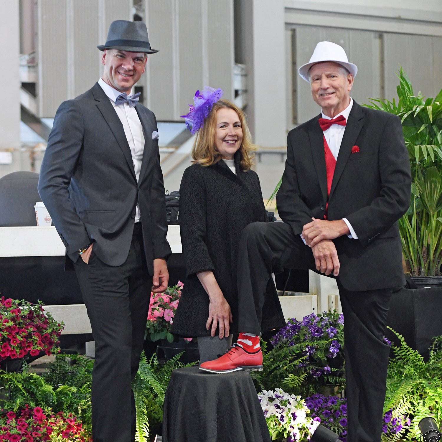 2025 MI All Arabian - 0 Candids - Horse Show Proofs - 2025 Proofs - www ...